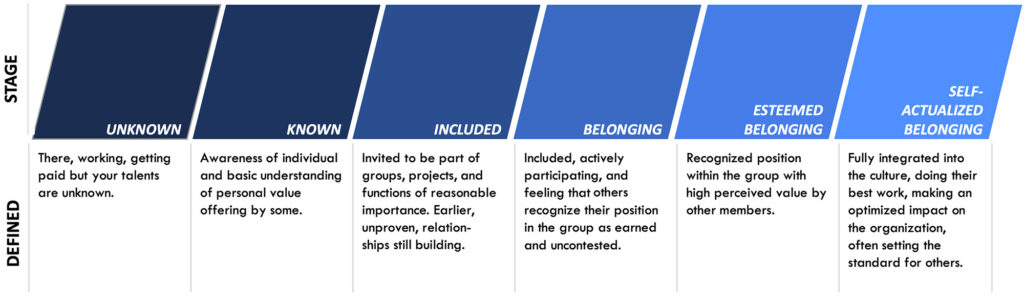 BELONGINGNESS – Caerulean Analytics